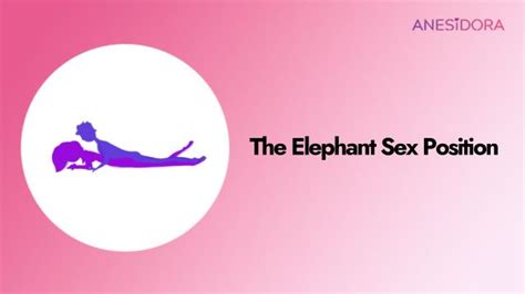The Elephant Sex Position A Wild Ride