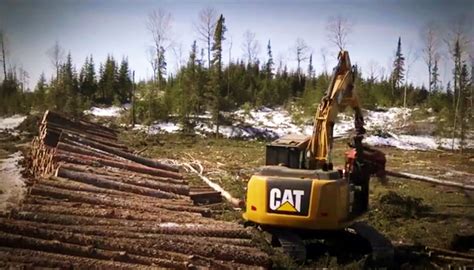 Fm558 Gffm558 Ll Forest Machine New Equipment Cavpower Cat