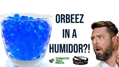 Use Orbeez In Your Humidor Featuring The King Chii 26l Humidor And Luciano Cigars Youtube