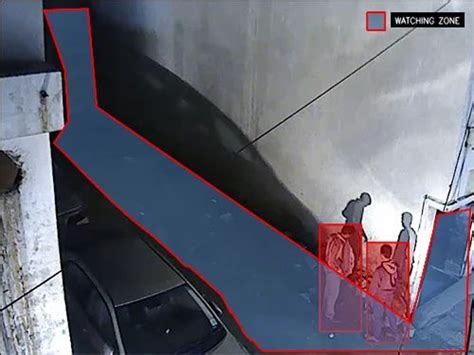 Advanced Motion Detection At Best Price In Gurugram By I2v Systems