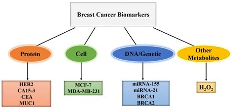 Review Of Graphene Based Electrochemical Biosensors For Breast Cancer Biosensors Mdpi Posted