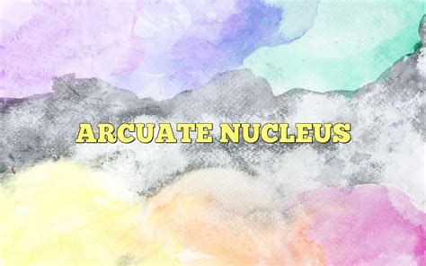 Arcuate Nucleus Definition And Meaning