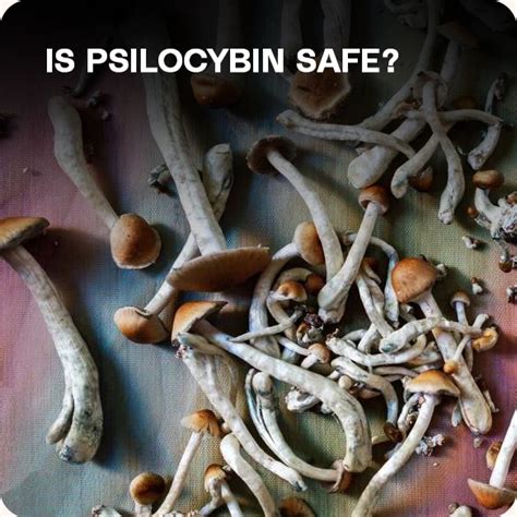 Ultimate Guide To Microdosing Protocols With Psilocybin