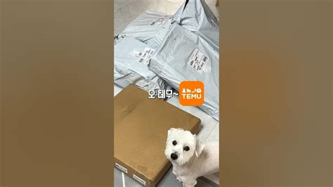 테무에서 건진 괜찮은 추천템 4가지😊👍테무깡 Youtube