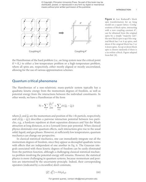 The Renormalization Group And Condensed Matter Physics Princeton University Press