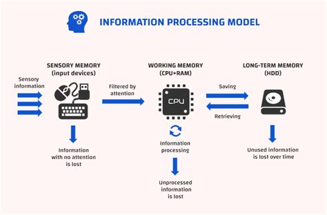 The Role Of Attention In Learning Science Of Learning Medium