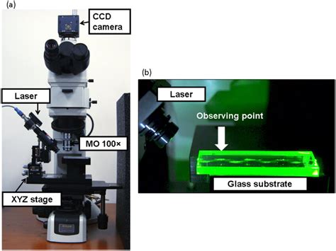 photographs of the holographic system a the system for recording the