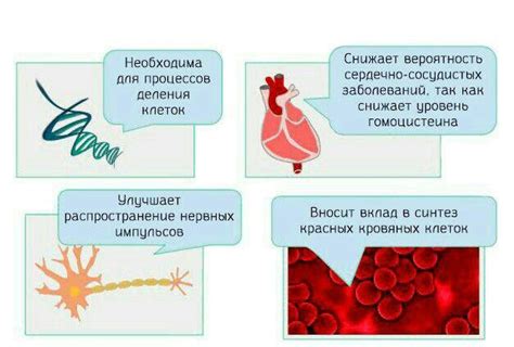 Фолієва кислота? Так! Але, не кожна. – ДІТИ БЕЗ КОРДОНІВ