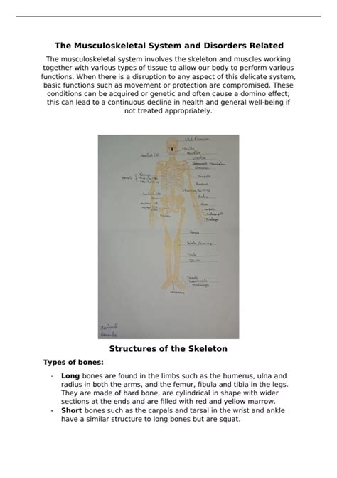 Unit 8 Physiology Of Human Body Systems All Assignments Aim A Aim B And Aim C Distinction