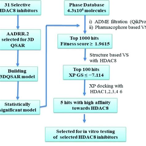 Flow Diagram Of Combined Ligand And Structure Based Virtual Screening