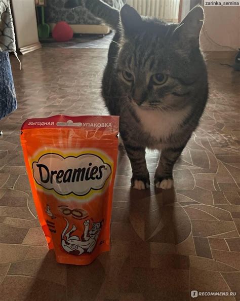 Лакомство Dreamies для кошек - «Вкусное и полезное» | отзывы