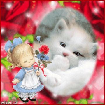 dreamies.de - Bilder suchen