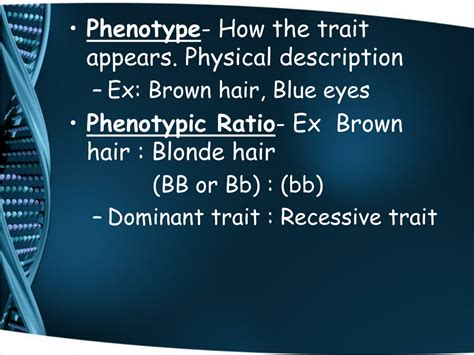 Ppt Genetics Vocabulary Understanding Alleles Genes And Inheritance