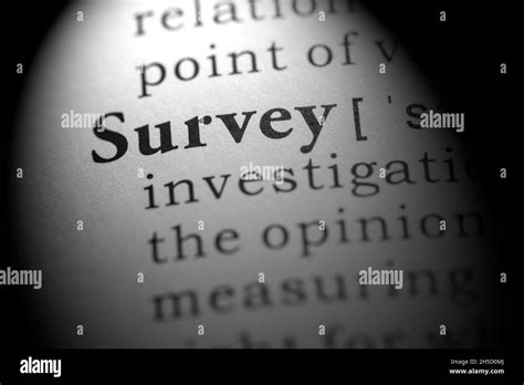Fake Dictionary Word Dictionary Definition Of Survey Stock Photo Alamy