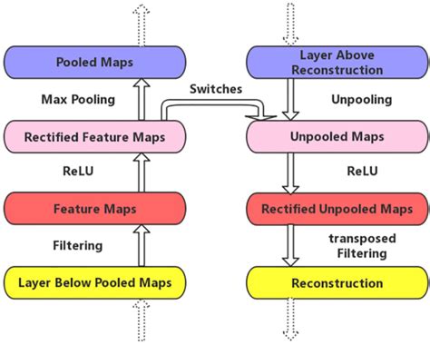 An Illustration Of A Deconvolutional Network Layer Right Attached To Download Scientific
