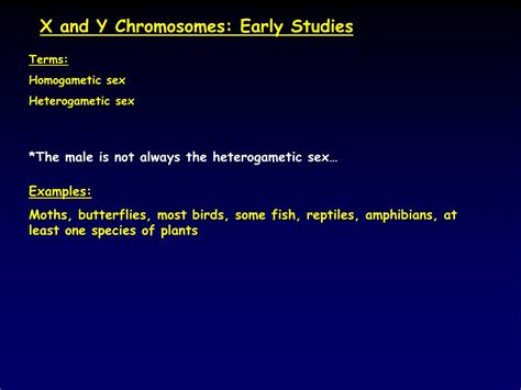 Ppt Phenotypic Expression Powerpoint Presentation Free Download