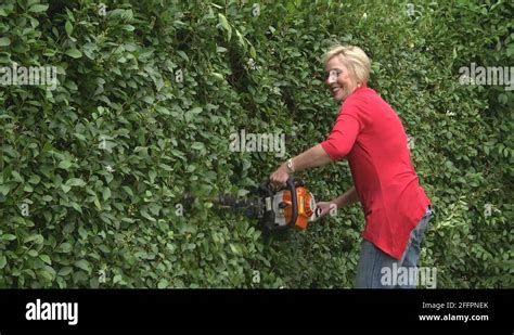 Trimming A Hedge Stock Videos Footage HD And 4K Video Clips Alamy