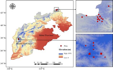 Stand Spatial Structure And Productivity Based On Random Structural
