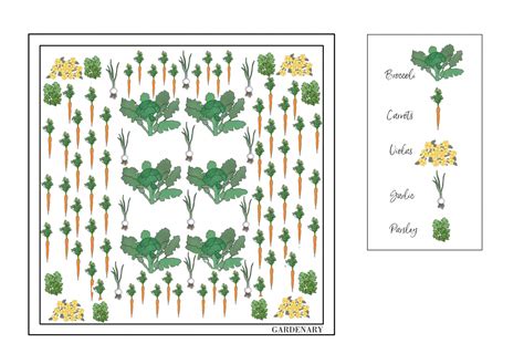 Optimal Carrot Companion Plants For Healthy Growth