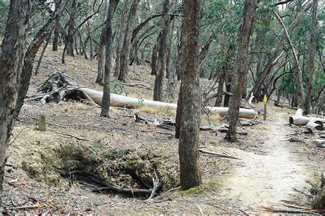 The Goldfields Track Golden Nugget Tours The Goldfields Track Golden Nugget Tours