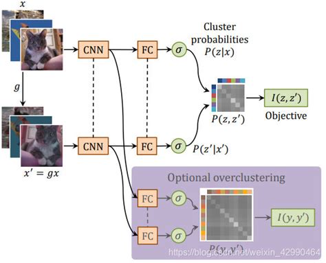 牛津大学 “不变信息聚类” ：invariant information clustering csdn博客