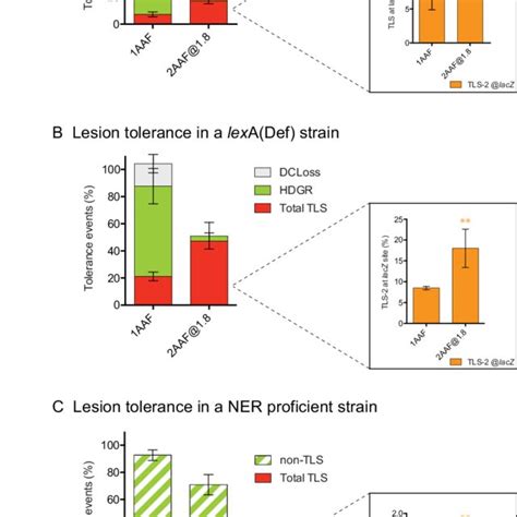 Partitioning Of Ddt Pathways At One Single Aaf Lesion And At Two Aaf