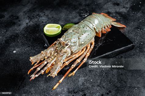 원시 가시 랍스터 또는 대리석 보드에 바다 가재 검은 배경입니다 상위 뷰 갈고리 발톱에 대한 스톡 사진 및 기타 이미지 갈고리 발톱 갑각류 건강한 생활방식 Istock