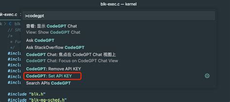 开发人员不要太激动啦！使用 Vs Code 与 Codegpt 进行协同工作，效率加倍！ Evlit