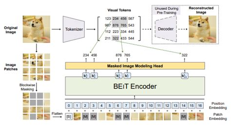 [doc] main figure of modles in mmsegmentation · issue 1059 · open