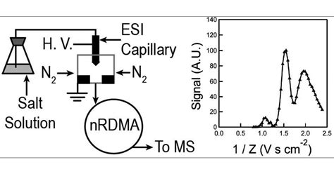 Continuous Flow Ion Mobility Separation With Mass Spectrometric Detection Using A Nano Radial