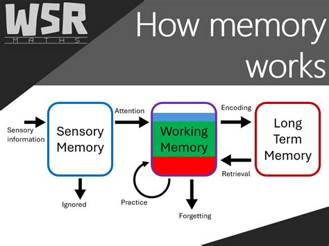 understanding memory presentation teaching resources