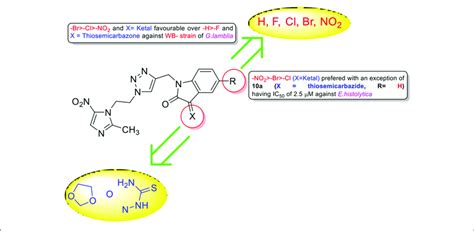 Generalized Sar Of The Synthesized Compounds Against G Lamblia And Download Scientific