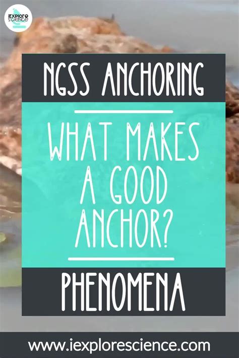 780 NGSS Lessons Ideas High Babe Science High Babe Science Class Ngss