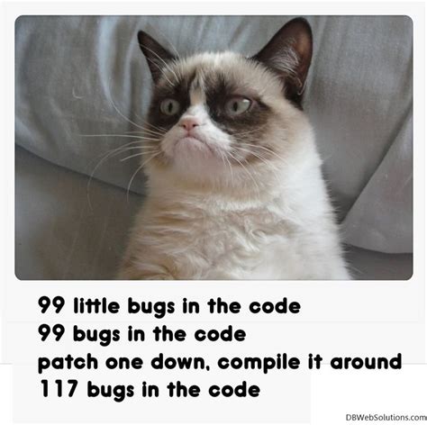 99 Little Bugs In The Code 99 Bugs In The Code Patch One Down Compile