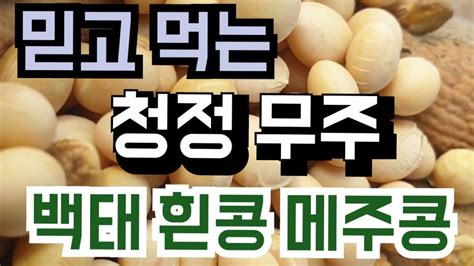 [판매완료] 청정 무주 흰콩 판매 메주콩 백태 판매해요 믿고 사먹는 무주 농산물 백태판매 콩판매 메주콩판매 흰콩판매
