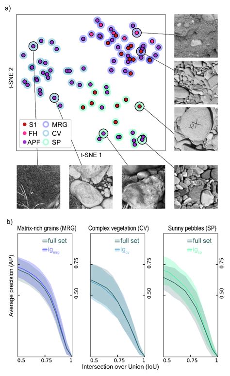 Classes Of Image Types For Segmentation Inferred From The Style Vectors Download Scientific