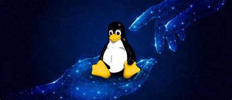 Apa Itu Linux Fungsi Keunggulan Dan Distribusinya