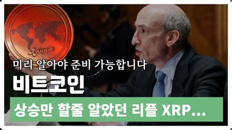 비트코인 미리 알아야 준비 가능합니다 비트코인 상승만 할줄 알았던 리플 Xrp Youtube