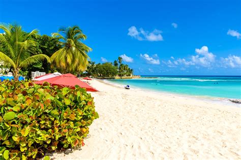 Bikini Beach Barbados At Tena Burns Blog