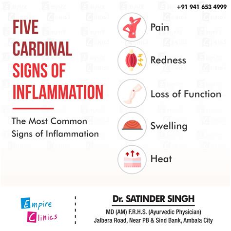Five Cardinal Signs Of Inflammation Signs Of Inflammation Medical