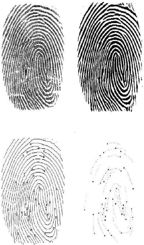 figure 2 from multimodal biometric authentication using quality signals