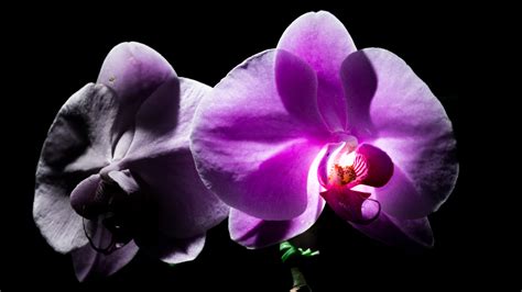 Salesforce Summaries Async Soql Big Data Computing For The