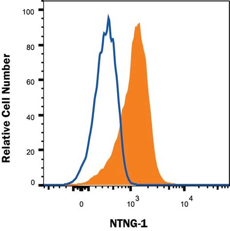 Human Netrin G1a Antibody R D Systems 25 μg Unconjugated Antibodies