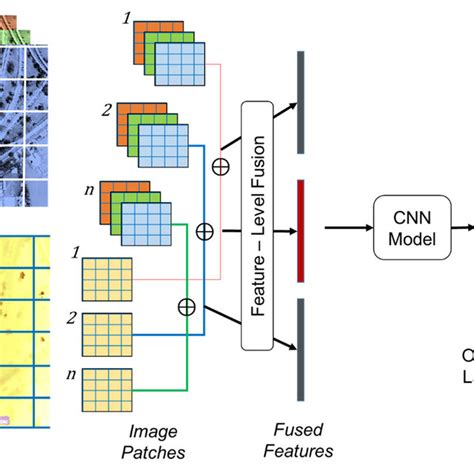 Flowchart Of The Proposed Convolutional Neural Network Cnn Based