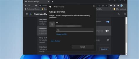 How To Enable Pin Requirement When Filling Passwords In Chrome
