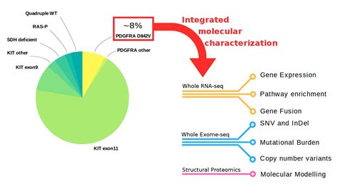 Ijms Free Full Text Integrated Molecular Characterization Of