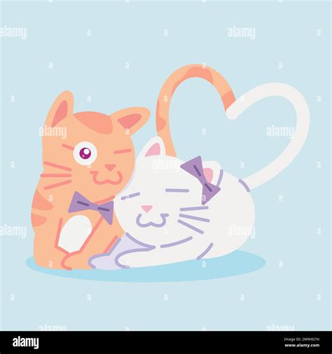 Fotos De Gatos Lindos Amor