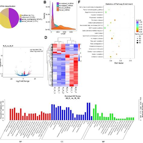 Prediction And Function Analysis Of Lncrna Target Genes A Lncrna Download Scientific Diagram