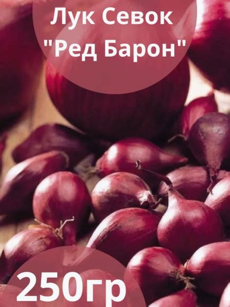 Луковицы Лук севок купить по выгодной цене в интернет-магазине OZON ...