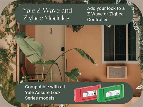 Why Choose Shelly For Your Smart Home Automation Blui Security Australia